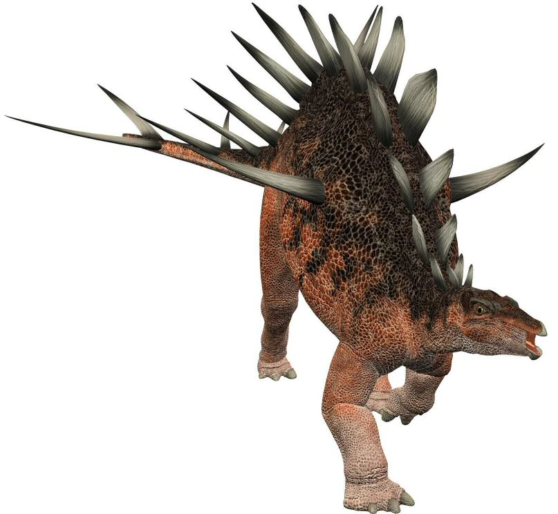 Kentrosaurus | Dinosaur Alive Wiki | FANDOM powered by Wikia