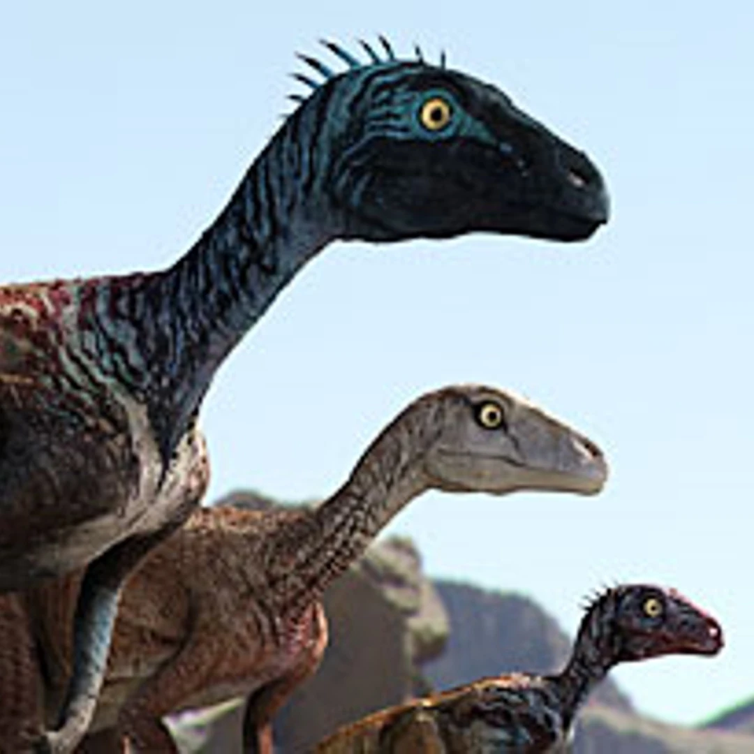 Image - EoraptorPortrait.jpg | Dinosaur Revolution Wiki | FANDOM ...
