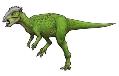 Gravitholus | Dinopedia | Fandom powered by Wikia