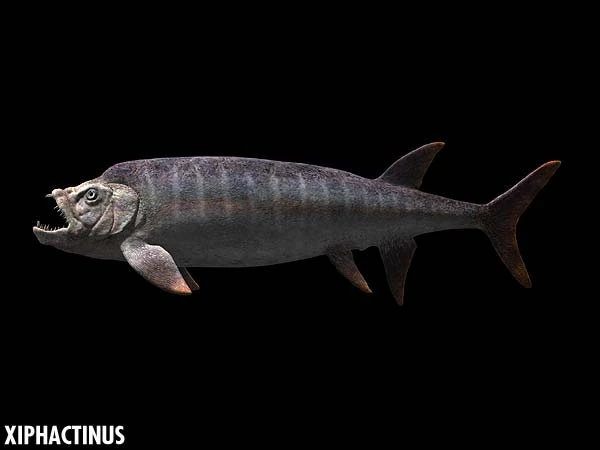 Xiphactinus | Dinopedia | Fandom powered by Wikia