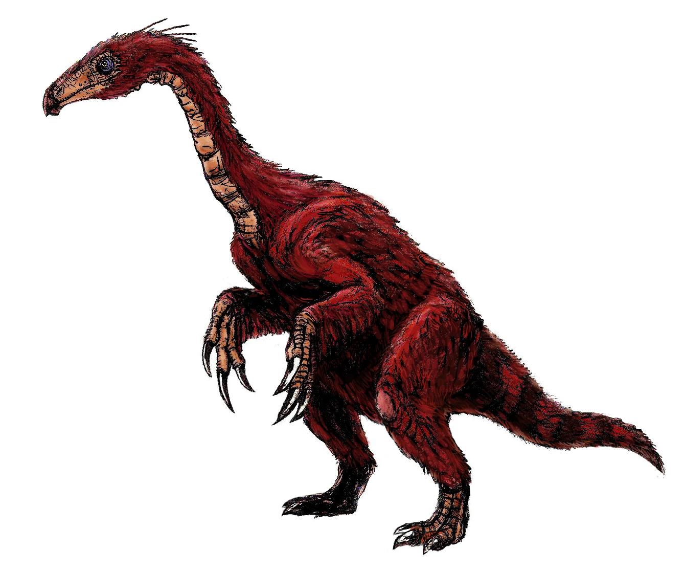 Segnosaurus | Dinopedia | Fandom powered by Wikia