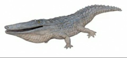 What is your favorite Non-Dinosaur prehistoric creature? | Page 4 ...
