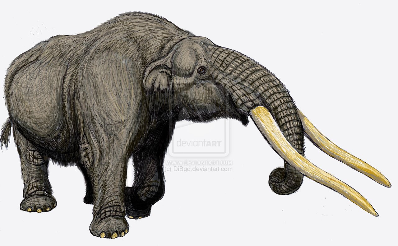 Cuvieronius Dinopedia Fandom Powered By Wikia