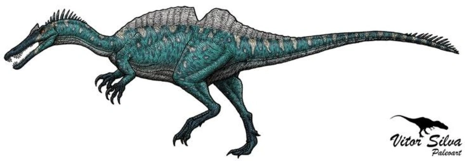 Ichthyovenator | Dinopedia | Fandom powered by Wikia