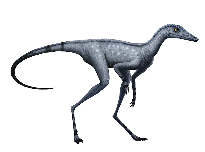 What type of dinosaur is the Godzillasaurus? - Toho Kingdom