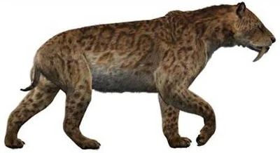 Smilodon | Dinopedia | Fandom powered by Wikia