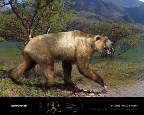 Agriotherium | Dinopedia | Fandom powered by Wikia