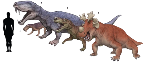 Category:Mammal-like reptiles | Dinopedia | FANDOM powered by Wikia