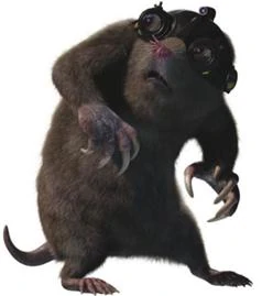 Image - Gforce speckles.jpg | G-force Wiki | FANDOM powered by Wikia