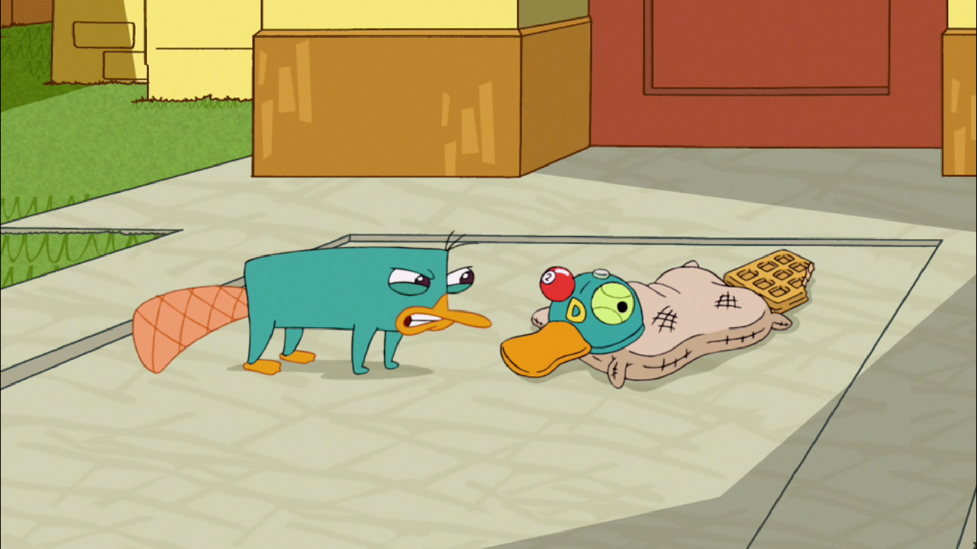 Image - Perry doesn't like his new friend.jpg | Disney Wiki | FANDOM ... Image - Perry doesn't like his new friend.jpg | Disney Wiki | FANDOM ...