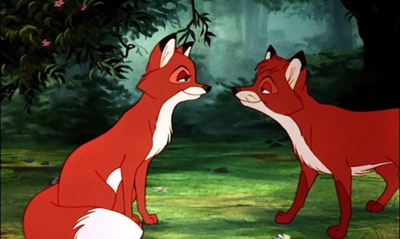 Image Tod And Vixey Lovable Couple Disney Wiki Fandom Powered By Wikia