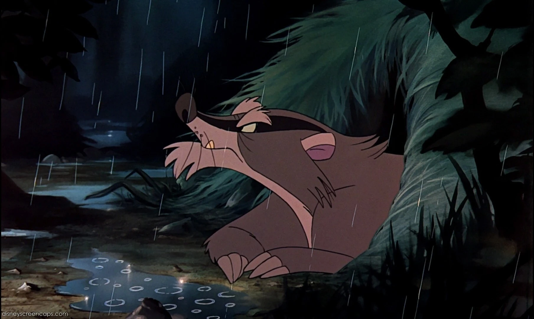 The Fox And The Hound Angry Badger - Favourite The Fox And The Hound ...