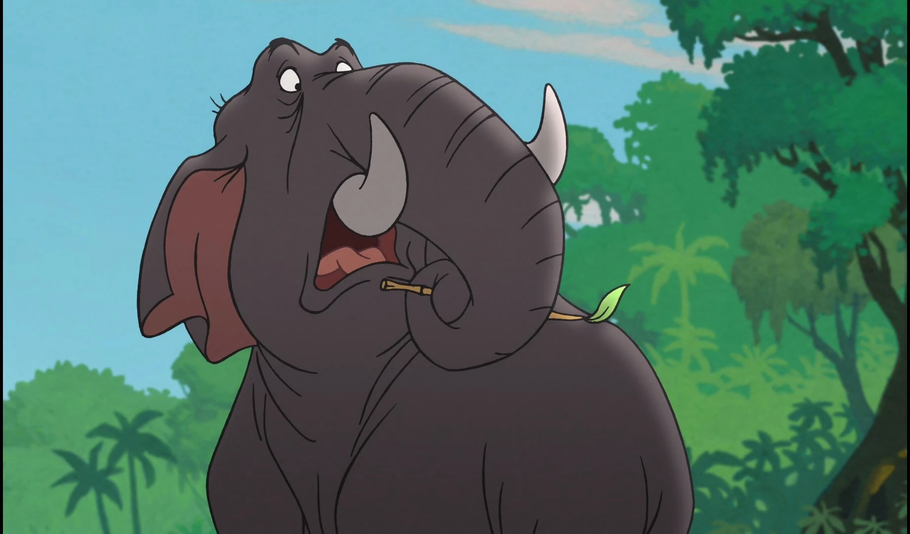 Image - Colonel Hathi-jbook2HD.jpg | Disney Wiki | FANDOM powered by Wikia