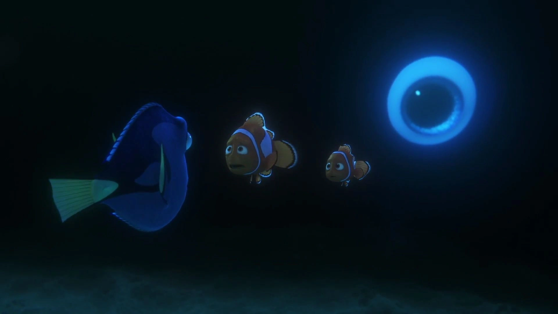 Image - Finding Dory 78.png | Disney Wiki | FANDOM powered by Wikia