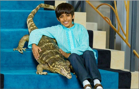 Ravi Ross - Jessie Wiki - Wikia