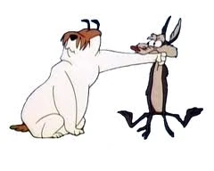 Ralph Wolf y Sam Sheepdog | Doblaje Wiki | Fandom powered by Wikia