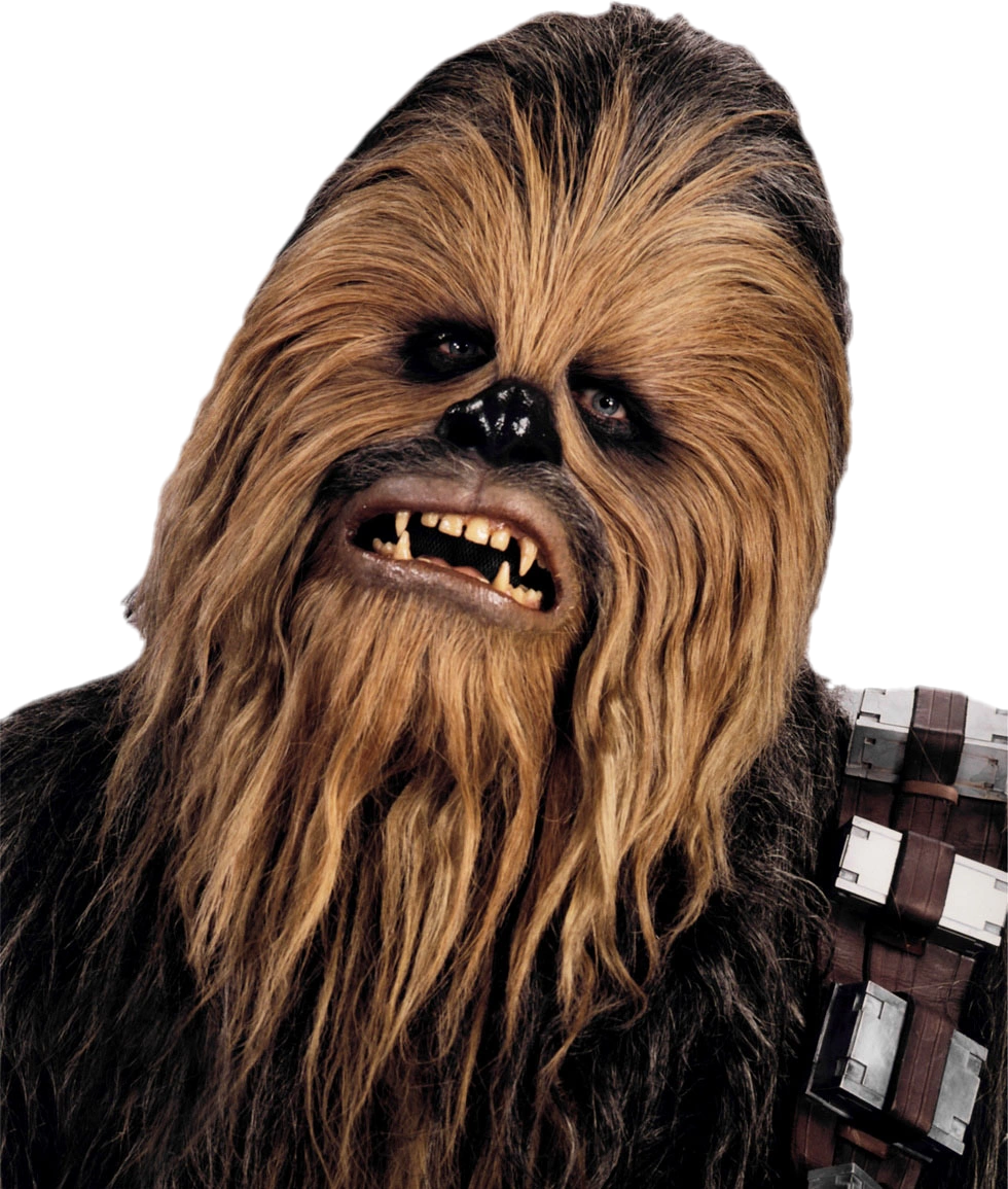 Chewbacca | Wiki Dominios Encantados | FANDOM powered by Wikia