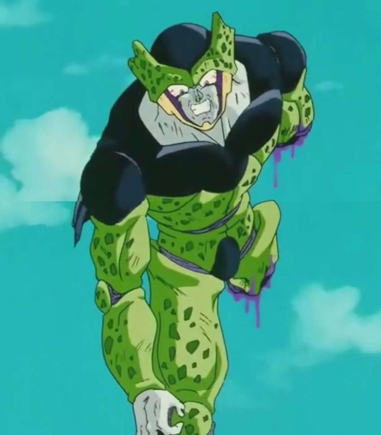 Archivo:Cell todo roto.jpg | Dragon Ball Wiki | Fandom powered by Wikia
