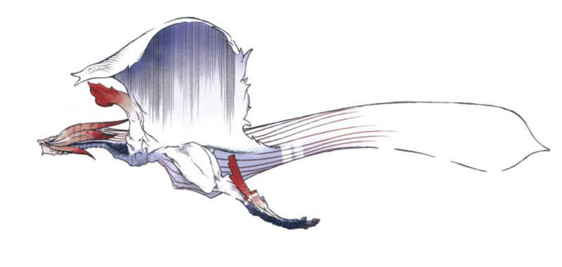 Holy Dragons Drakengard Wiki Fandom Powered By Wikia