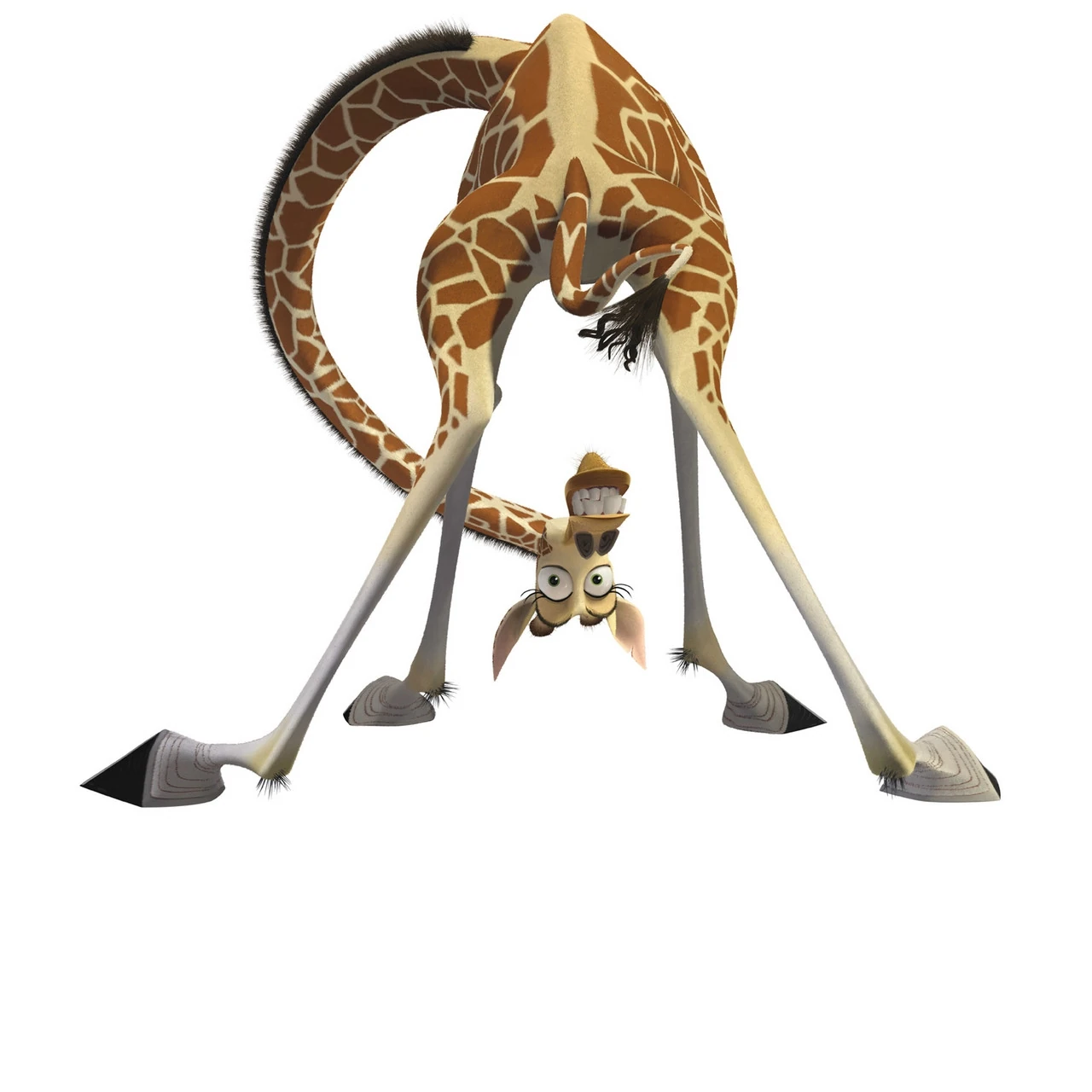 Datei:Melman.jpg | DreamWorks Wiki | Fandom powered by Wikia