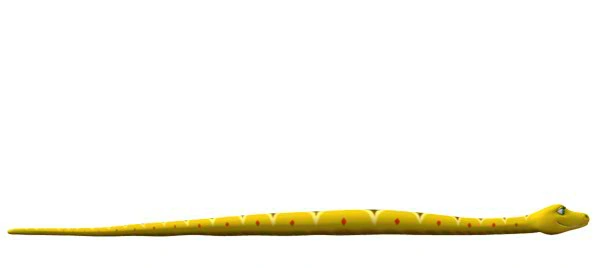 Sanajeh | Dinosaur Train Wiki | Fandom powered by Wikia