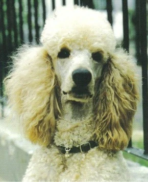 Roly | EastEnders Wiki | FANDOM powered by Wikia