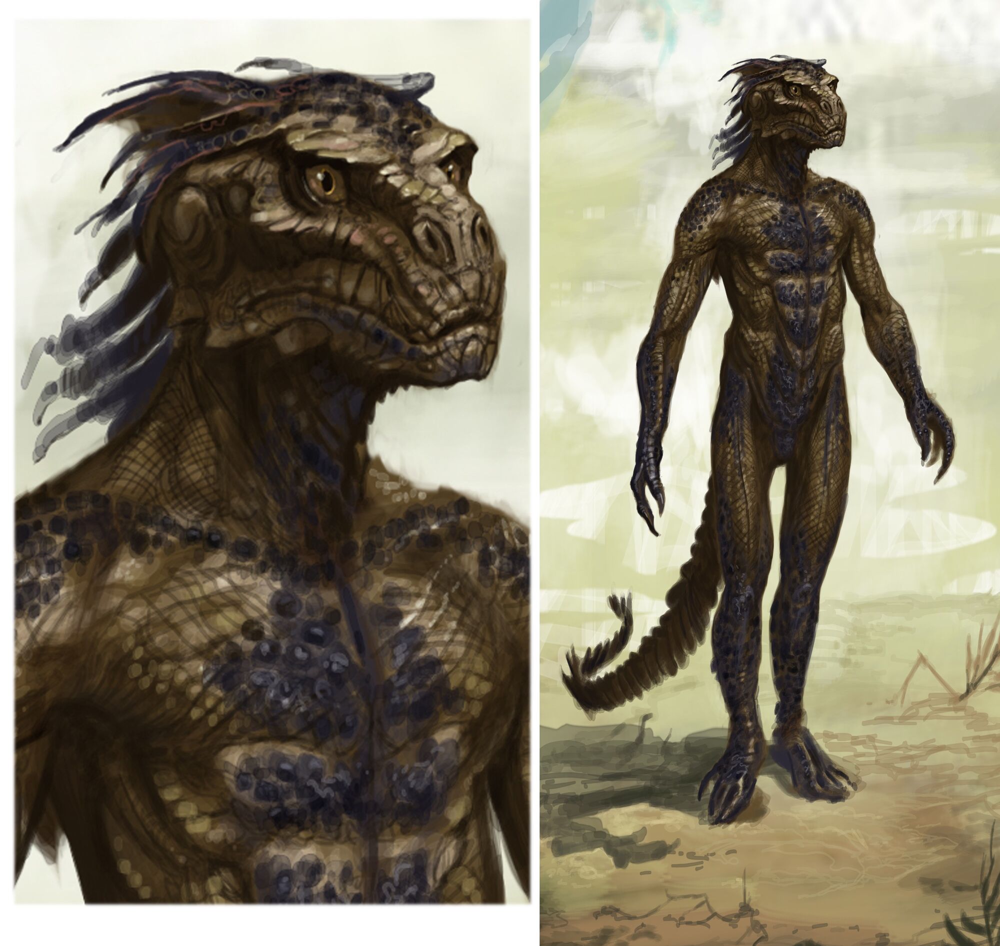 Image Argonian Male Elder Scrolls Fandom Powered By Wikia