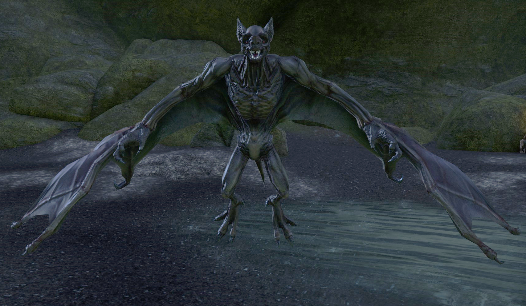 Werebat | Elder Scrolls | Fandom powered by Wikia