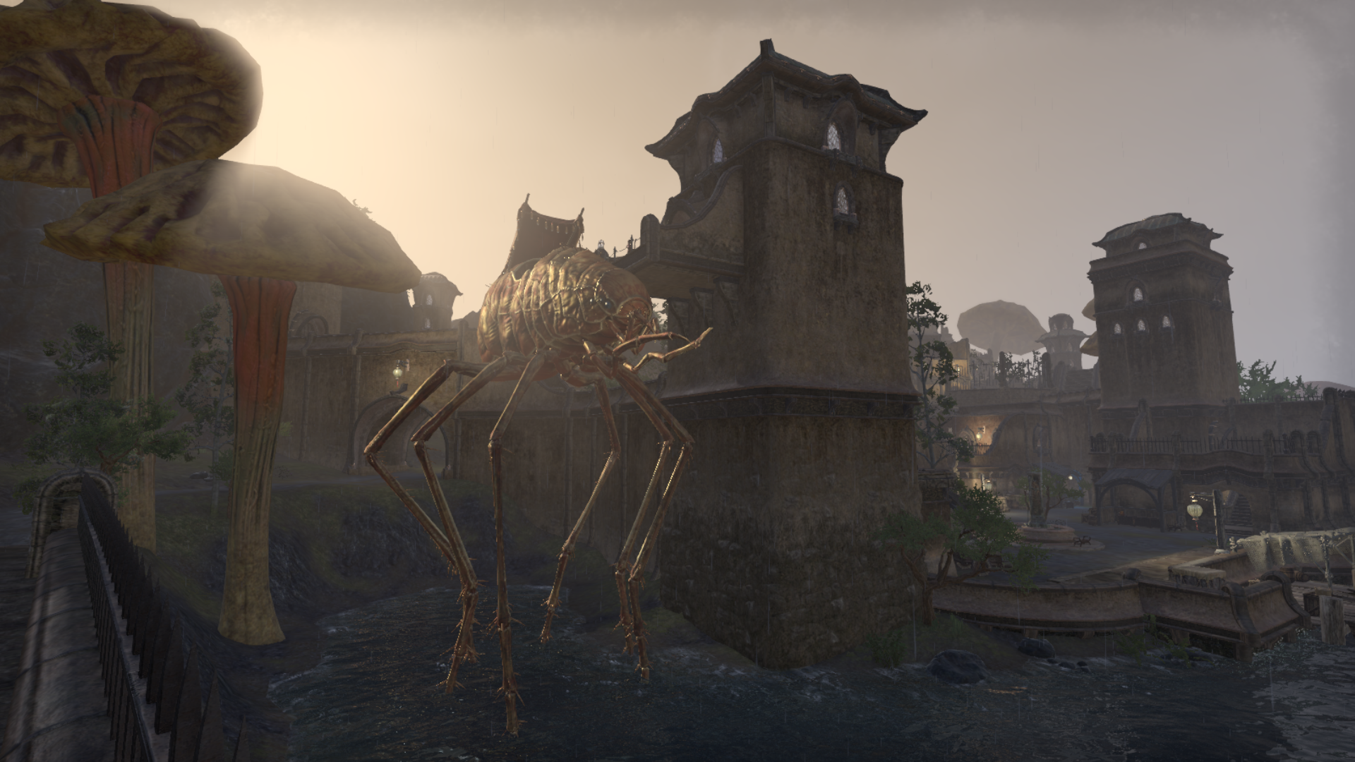 Suran Eso Morrowind Elder Scrolls Wiki Fandom Powered By Wikia