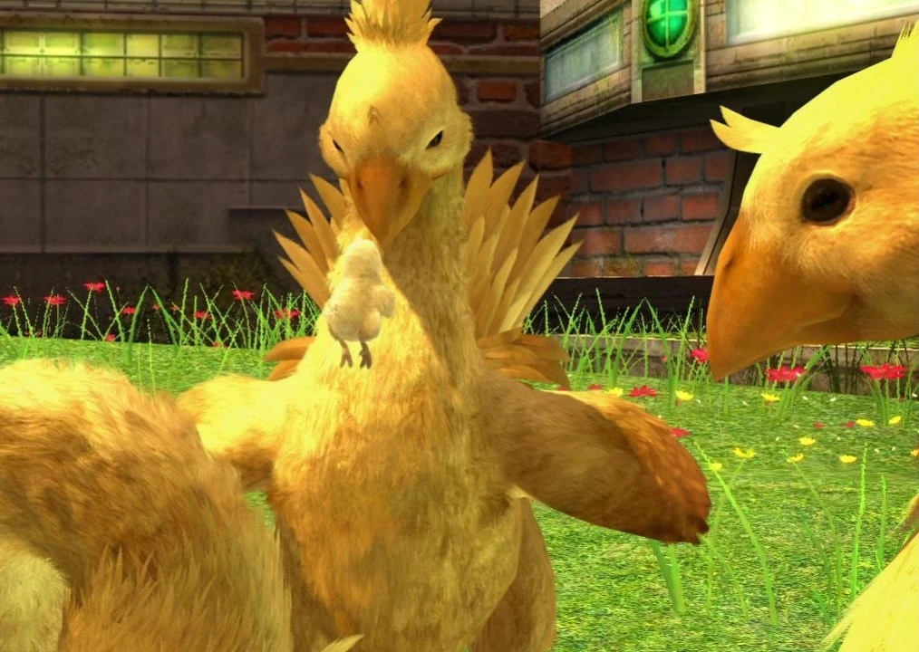 Chocobo | Final Fantasy Wiki | FANDOM powered by Wikia