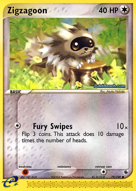 Zigzagoon Pokmon Wiki Wikia