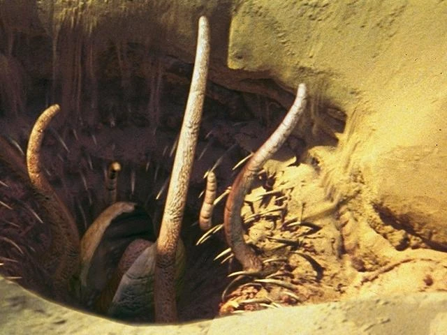 Sarlacc | Star Wars Wiki | FANDOM powered by Wikia