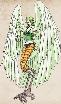 Monet | The Fairy One Piece Tail Universe Wiki | FANDOM powered by Wikia