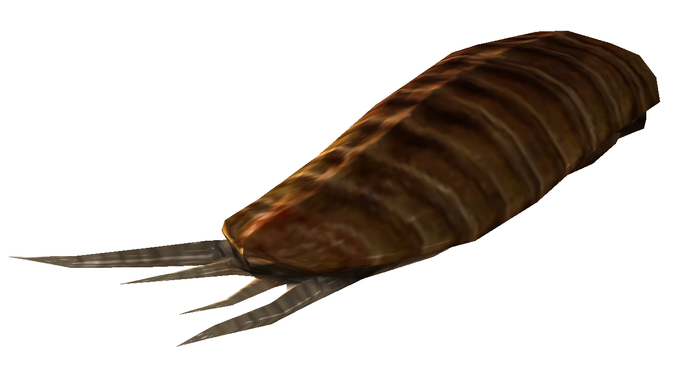 Radroach meat (Fallout: New Vegas) | Fallout Wiki | Fandom powered by Wikia