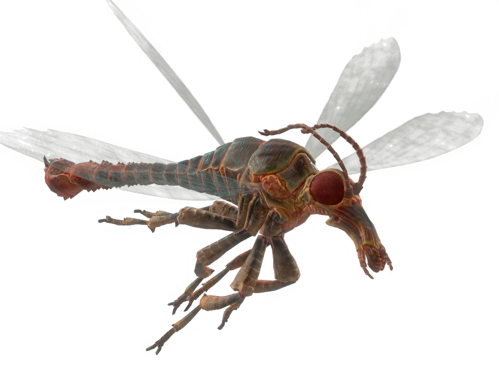 Stingwing Fallout Wiki Fandom Powered By Wikia