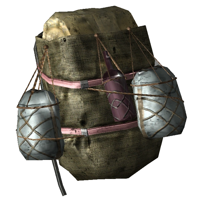 Fallout New Vegas Bag | IUCN Water