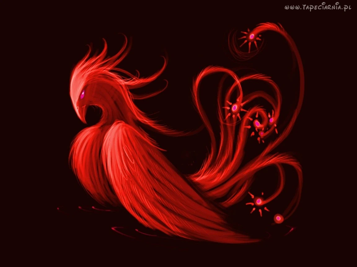 Feniks | Fanowska harry potter Wiki | FANDOM powered by Wikia