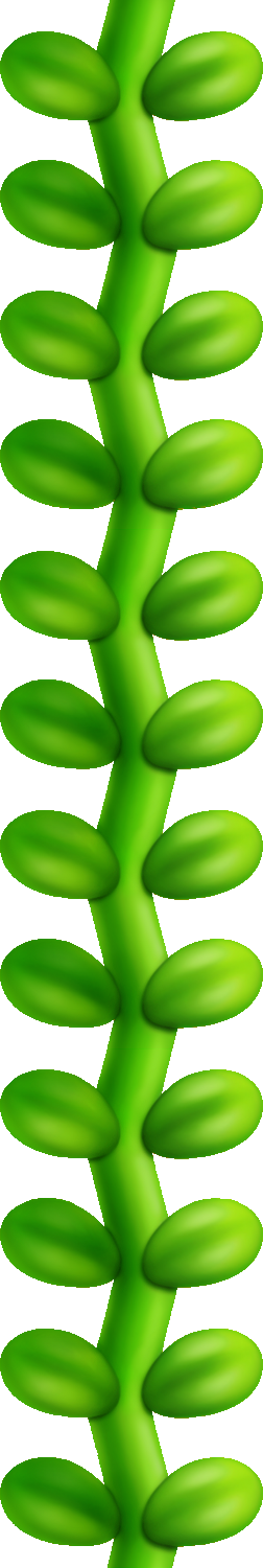 Beanstalk | Fantendo - Nintendo Fanon Wiki | Fandom powered by Wikia