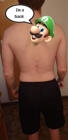 Luigi | Fiction Wrestling Multiverse Wiki | Fandom powered by Wikia