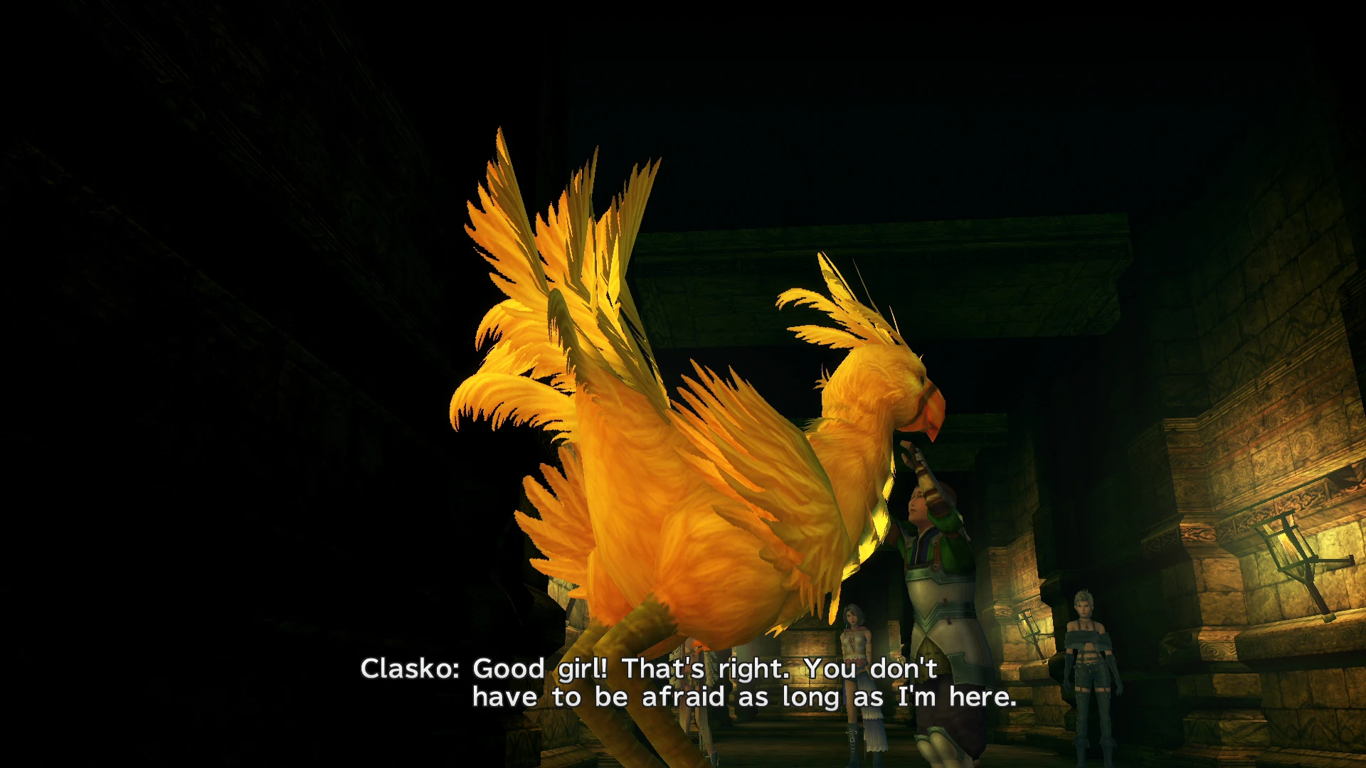 Image - Amazing chocobo ffx-2.jpg | Final Fantasy Wiki | FANDOM powered ...