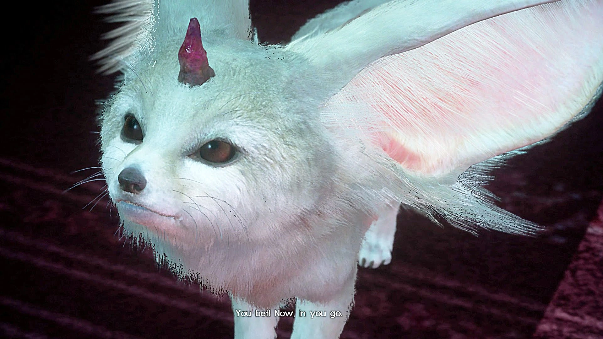 Image - Carbuncle2-PD-FFXV.png | Final Fantasy Wiki | FANDOM powered by ...