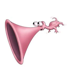 Honk | A Flanimals Wiki | Fandom powered by Wikia