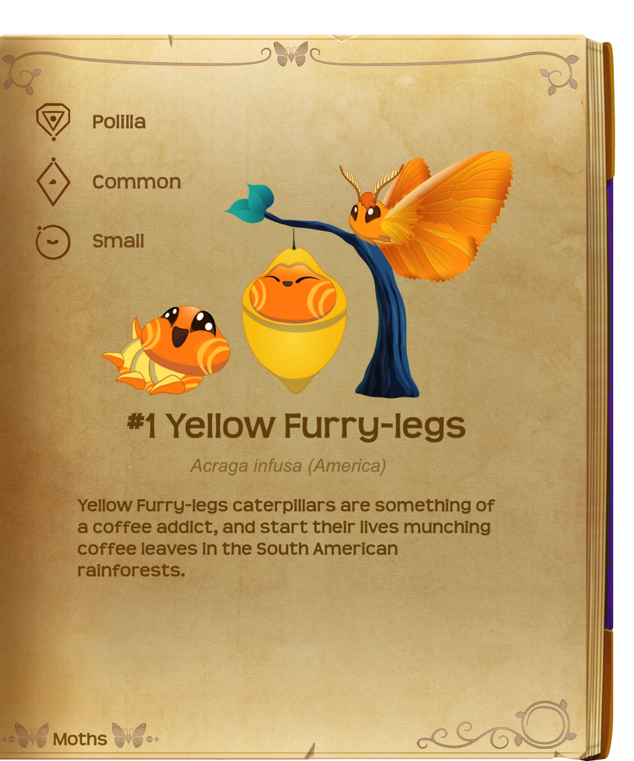 Yellow Furry-legs | Flutter: Starlight Wikia | FANDOM powered by Wikia