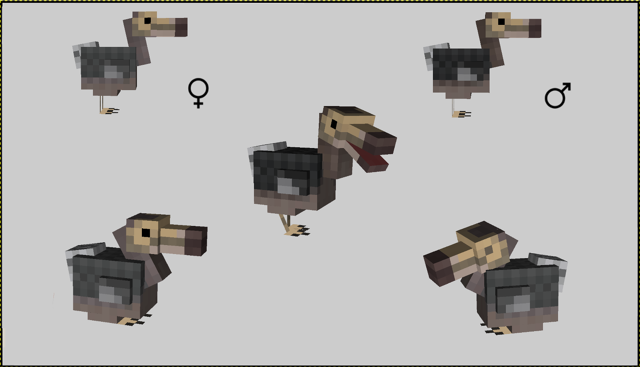 Dodo Bird (Dericawl) [1.10.2] - Requests / Ideas For Mods - Minecraft ...