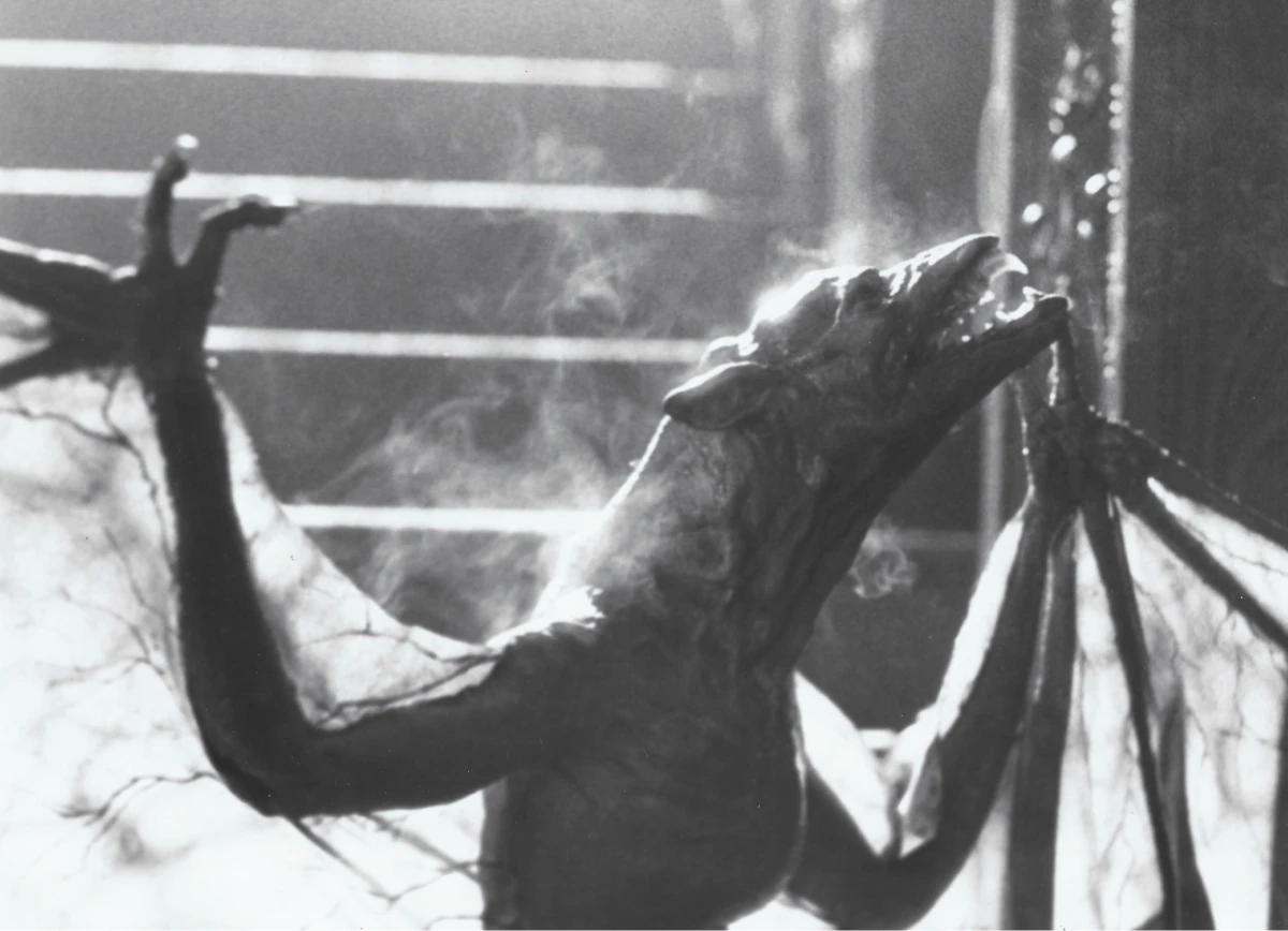 Image - Fright Night 1985 Vampire Bat.jpg | Fright Night Wiki | Fandom ...
