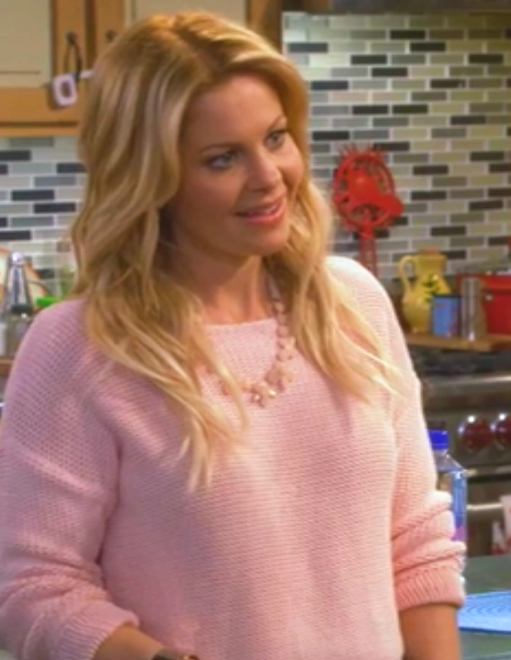 D.J. Tanner-Fuller | Fuller House Wikia | Fandom powered by Wikia