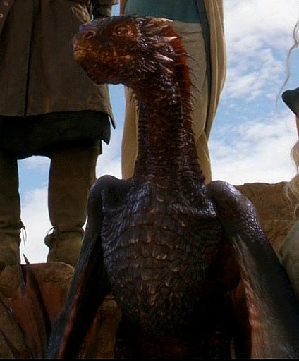 Image - Drogon.png | Game of Thrones Wiki | Fandom powered by Wikia