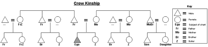 Crow kinship | Familypedia | Fandom powered by Wikia