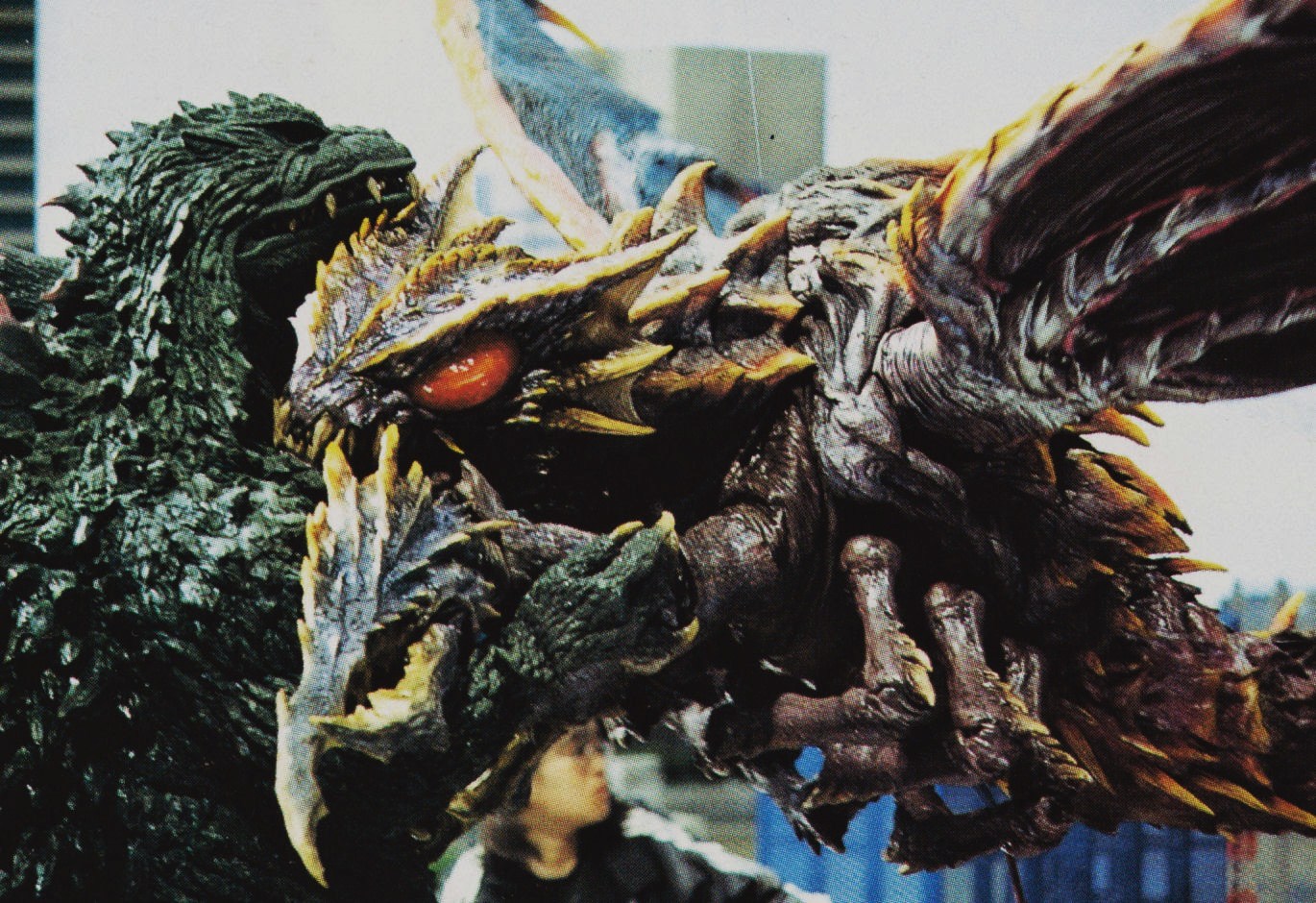Image - GXM - Megaguirus Bites Godzilla.jpg | Gojipedia | FANDOM ... Image - GXM - Megaguirus Bites Godzilla.jpg | Gojipedia | FANDOM ...