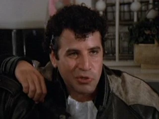 Sonny | Grease Wiki | FANDOM powered by Wikia